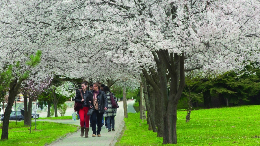 TEKIRDAG NAMIK KEMAL UNIVERSITY - Study in Türkiye